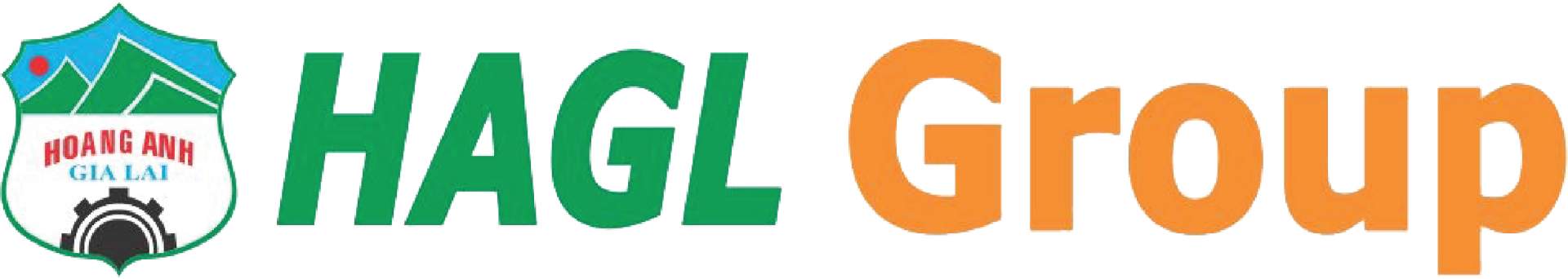 Thông tin chủ đầu tư HAGL Group | Houze